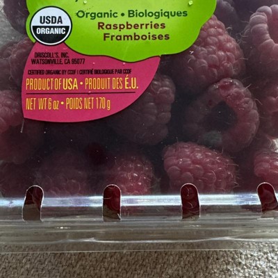 Organic Raspberries - 6oz : Target