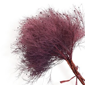 Alilang Decorative Dried Ming Fern Stems For Elegant Home Decoration ...