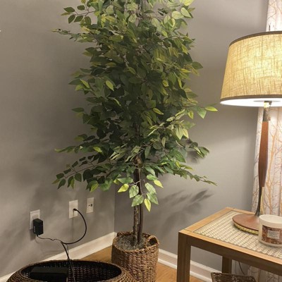 72" Artificial Ficus Tree In Basket - Lcg Florals : Target