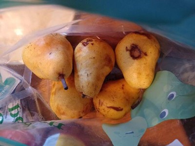 Kid-sized Bartlett Pears - 3lb Bag - Good & Gather™ : Target