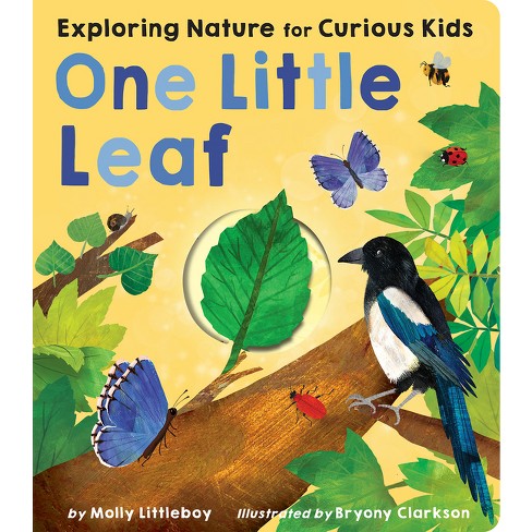 One Little Leaf - By Molly Littleboy (board Book) : Target