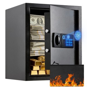Safes Box for Home, Biometric Safes Fingerprint Lock Box with Fireproof ...