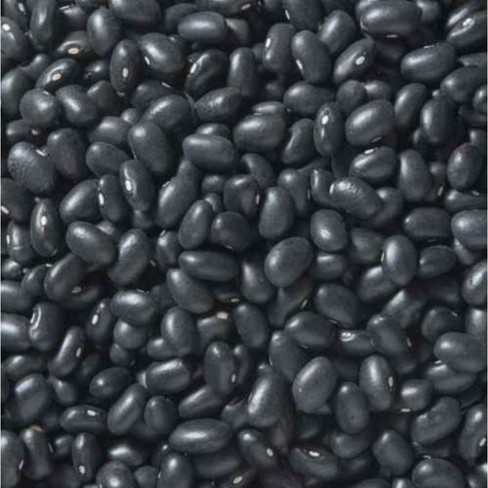 Woodstock Farms Organic Black Turtle Beans - 25 Lb : Target