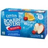 Capri Sun Roaring Waters Fruit Punch Pack - 10pk/6 Fl Oz Pouches : Target