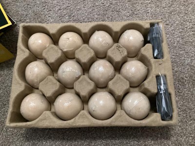 National Geographic Dinosaur Egg Dig Kits - 12 Dino Egg-shaped Dig ...