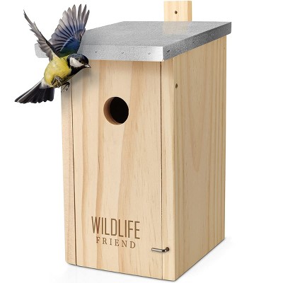 Little Giant 163620 Single Plastic High Density Mountable Chicken ...