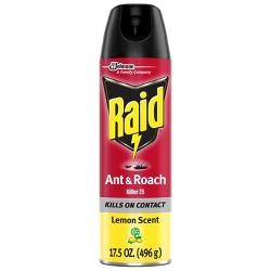 Raid Ant And Roach Killer Fragrance Free - 17.5oz : Target