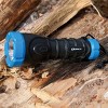 Dorcy 180-lumen Led Tpe Rubber Flashlight : Target