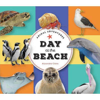 Animal Adventures: Day in the Bay - by Alexandra Claire (Board Book ...