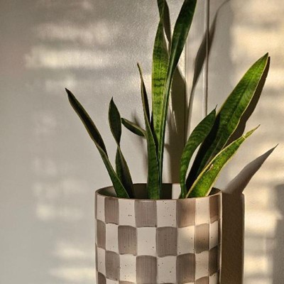 Checker Stoneware Indoor Outdoor Planter Pot Ivory 5.88"x5.88 ...