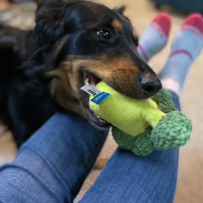 Bark Punk Brocc Broccoli Dog Toy : Target