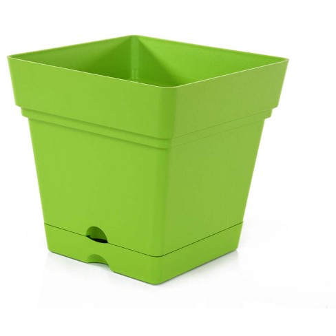 Mintra Garden - 6.75in Square Garden Pot : Target