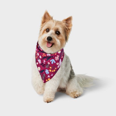 Dog Clothing & Accessories : Target