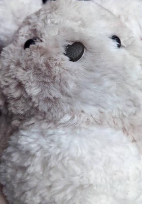 Purrble Calming Toy Companion - Interactive Plush : Target