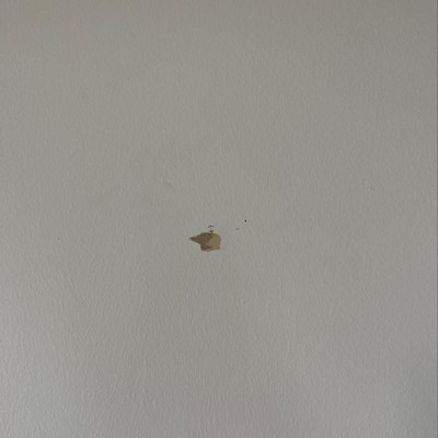 Command 40 Clips 48 Strips Decorating Clips Clear : Target