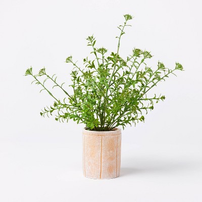 14" Privet Artificial Plant - Threshold™ Designed With Studio Mcgee ...