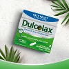 Dulcolax Gentle And Predictable Fast Relief Laxative Suppositories ...