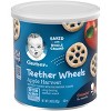 Gerber Teether Wheels Apple Harvest Baby Snacks - 1.48oz : Target