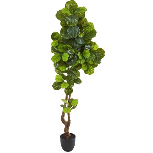 Nearly Natural 78-in Fiddle Leaf Artificial Tree (real Touch) : Target