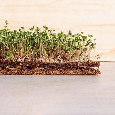 Envelor 20pk Coco Coir Grow Mats For Microgreens And Basket Liners : Target