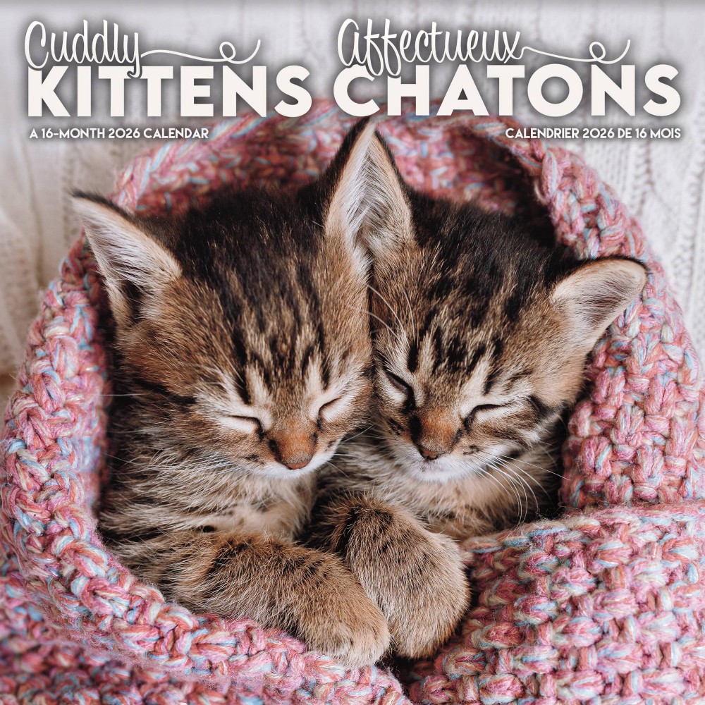 Trends International Cuddly Kittens Bilingual French 12"x12" Wall ...