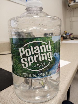 Poland Spring Brand 100% Natural Spring Water - 12pk/12 Fl Oz Bottles ...