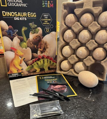 National Geographic Dinosaur Egg Dig Kits - 12 Dino Egg-shaped Dig ...