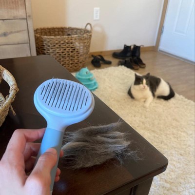 Cat Brush Grooming Tool - Up & Up™ : Target