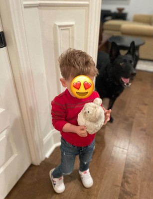 Purrble Calming Toy Companion - Interactive Plush : Target
