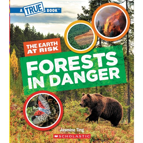 Forests In Danger (a True Book: The Earth At Risk) - (a True Book ...