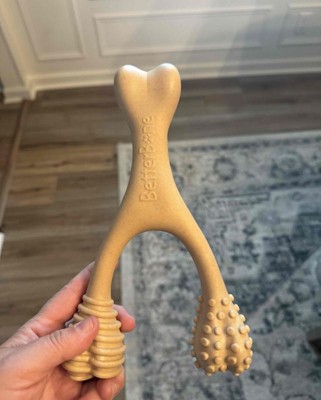 Betterbone Soft Beef Nylon Free Dog Bone Chew Toy - S : Target