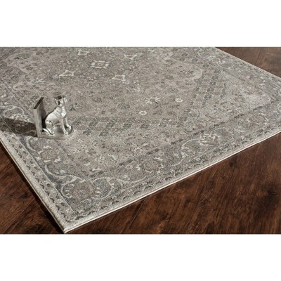 Rugs America Elise Oriental Transitional Area Rug : Target