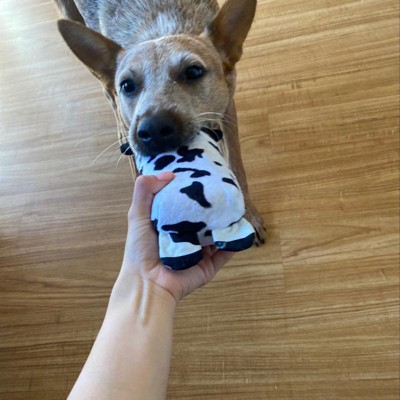 Bark Super Chewer Cow Dog Toy - Mad Cow : Target
