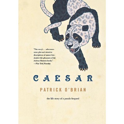 Caesar - By Christian Meier (paperback) : Target