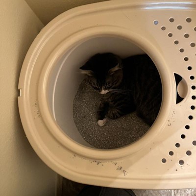 Iris Usa Top Entry Cat Litter Box : Target