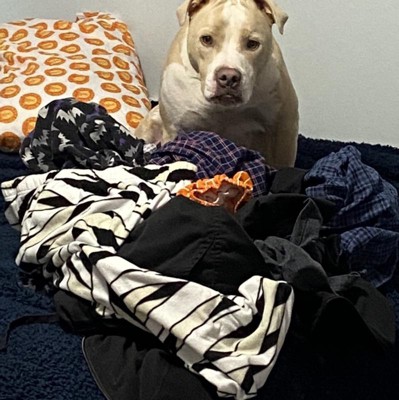 Purina Busy Bone Tiny Chewy Pork Flavor Dog Treats - 30ct : Target