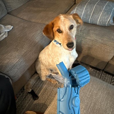 Long Rubber Stick With Crinkles Dog Toy - Blue - Boots & Barkley™ : Target
