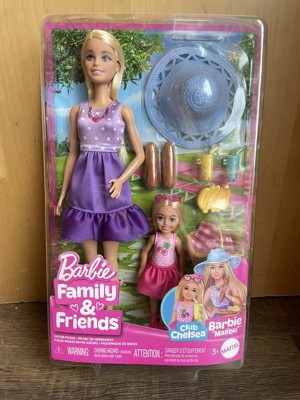 Barbie Family And Friends Dolls And Accessories, Picnic-themed Playset ...