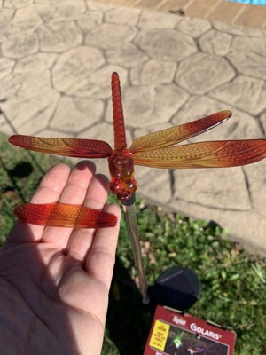 3pc Butterfly, Hummingbird, Dragonfly Solar Stakes: Alpine Corporation ...