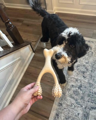 Betterbone Hard Classic Nylon Free Dog Bone Chew Toy - S : Target