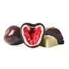 Tru Fru Hyper-dried Raspberries Covered In Dark Chocolate Candy - 4.2oz ...