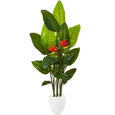 Northlight Real Touch™ Bird Of Paradise Artificial Floral Stems, Set Of ...