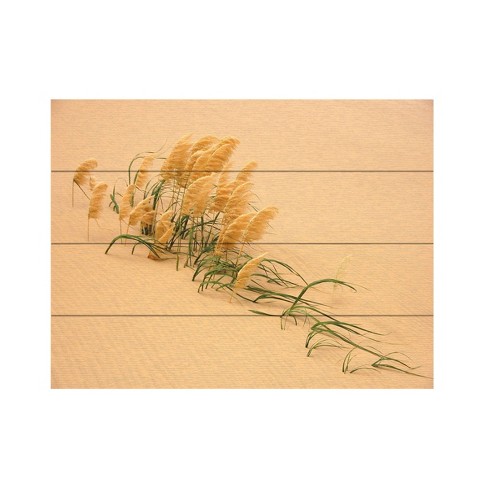 Trademark Fine Art Carl Bostek Pampas Grass In Sand Dune Wood Slat Art ...