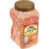 Sugar Coated Fennel Candy - 16oz (10lbs) 4.54kg - Rani Brand Authentic ...