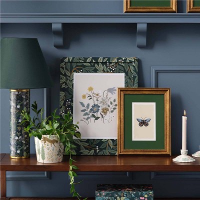 Rifle Paper Co. X Target Indoor Planter : Target