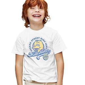 Boys' Sesame Street Big Bird, Bird Seed Milkshakes T-Shirt : Target