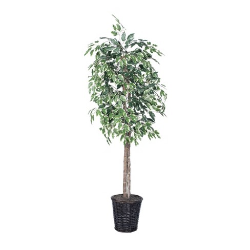 Vickerman Artificial Variegated Ficus Tree (6"): Silk & Wood Decor, No ...