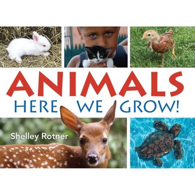 Lots Of Feelings - (shelley Rotner's Early Childhood Library) By ...