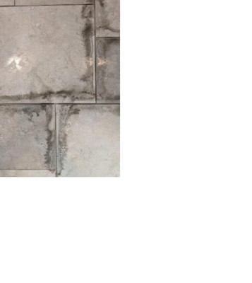 Wagner 915e On-demand Steam Cleaner With 18 Accessories: Electric ...