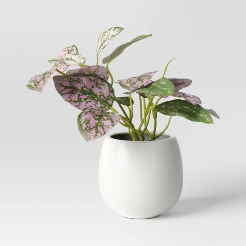 6" Mini Tabletop Polka Dot Artificial Plant - Threshold™ : Target